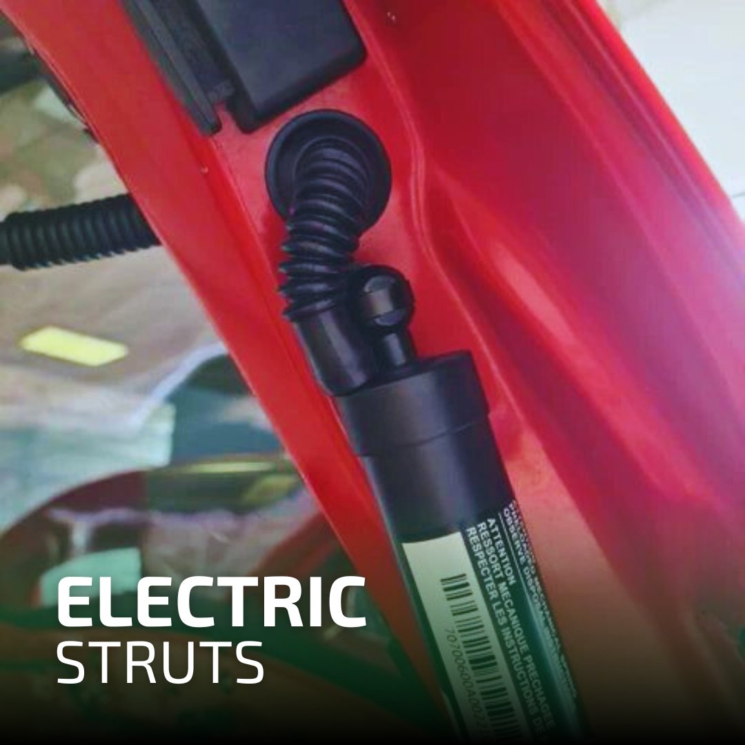 Electric Struts — Emerald Struts