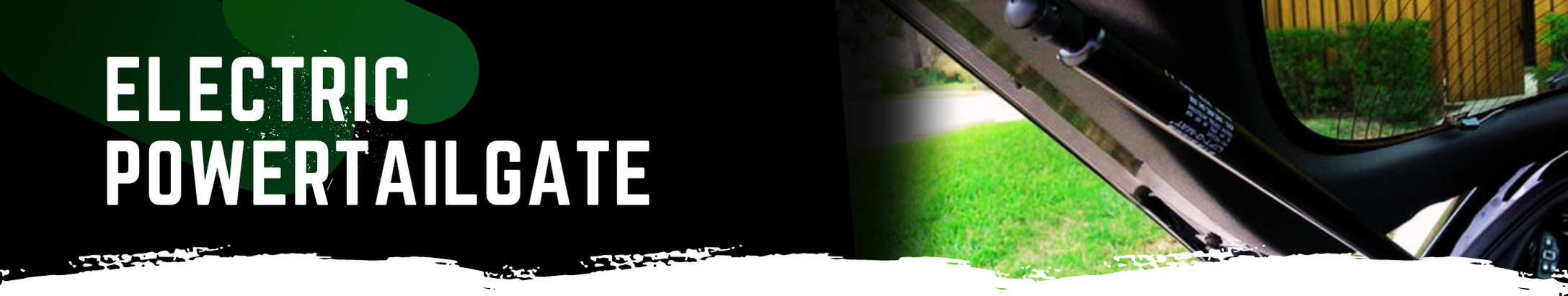 Looking for an upgrade? — Emerald Struts