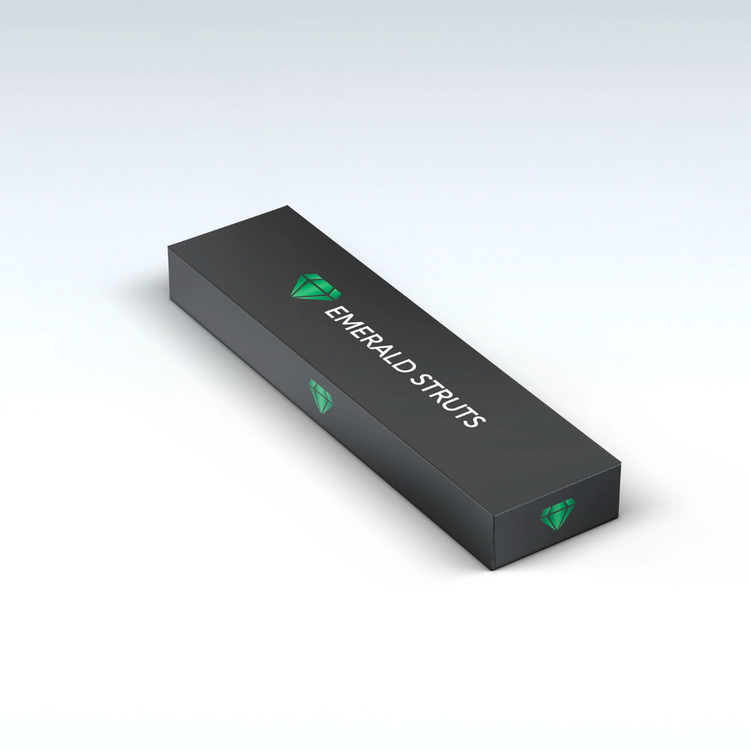 BMW E88 Automatic Boot Struts — Emerald Struts